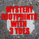 Cryptid 3 toed footprints - The mystery of what creatures make them