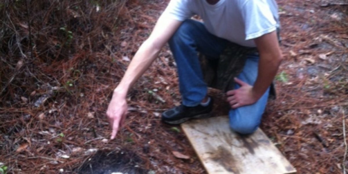 Walton County Bigfoot Prints – ParaRational