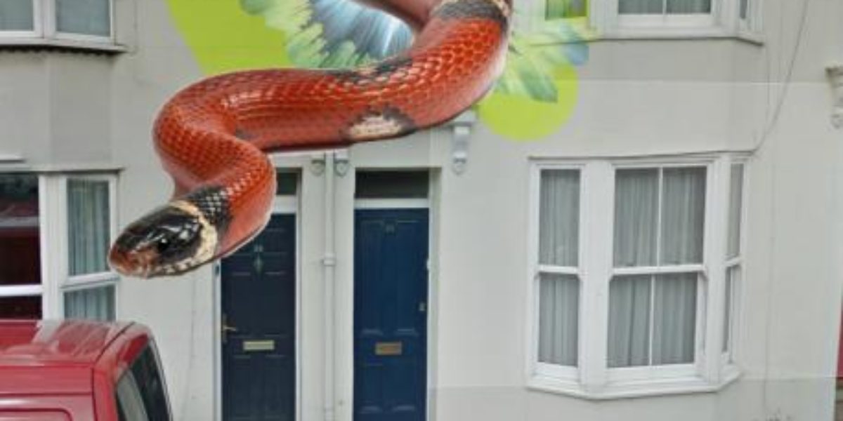 Montreal Road Vortex – Brighton, England – ParaRational