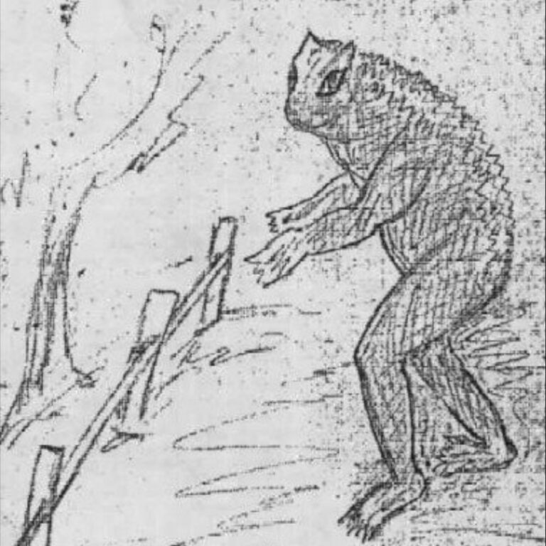 Cryptid Creatures Of Ohio - ParaRational