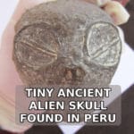 Ancient Alien Skull Found In A Desert Cave In Peru