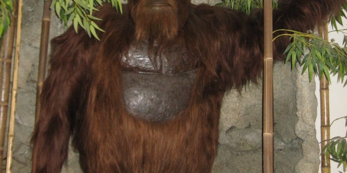 What Is Bigfoot? – ParaRational