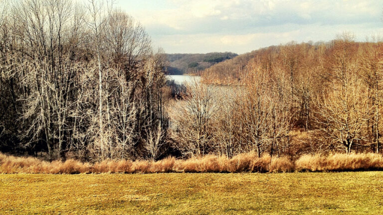 The Ohio Grassman: Tracking the Legendary Cryptid - ParaRational