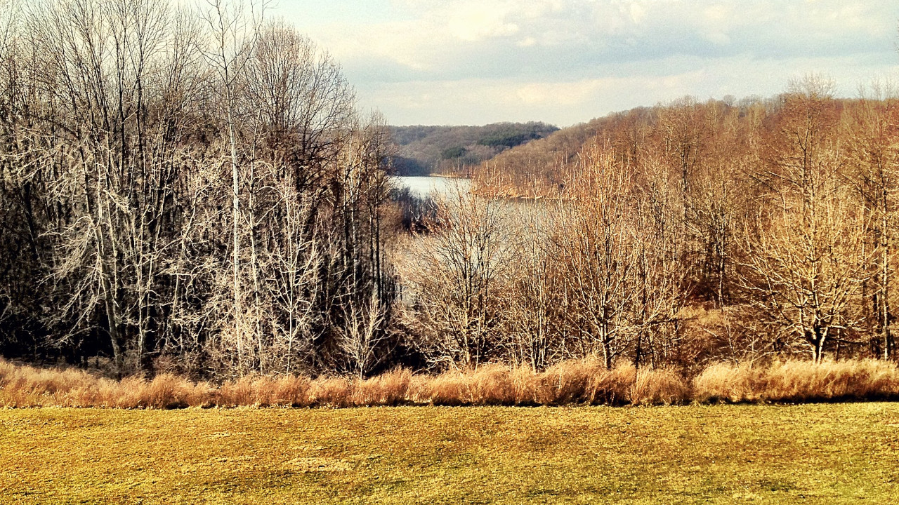 The Ohio Grassman: Tracking the Legendary Cryptid - ParaRational