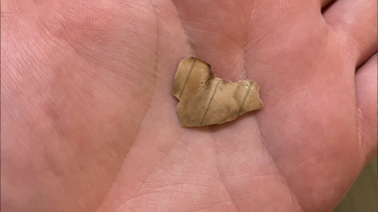 Apports - Objects Appearing From Nowhere - ParaRational