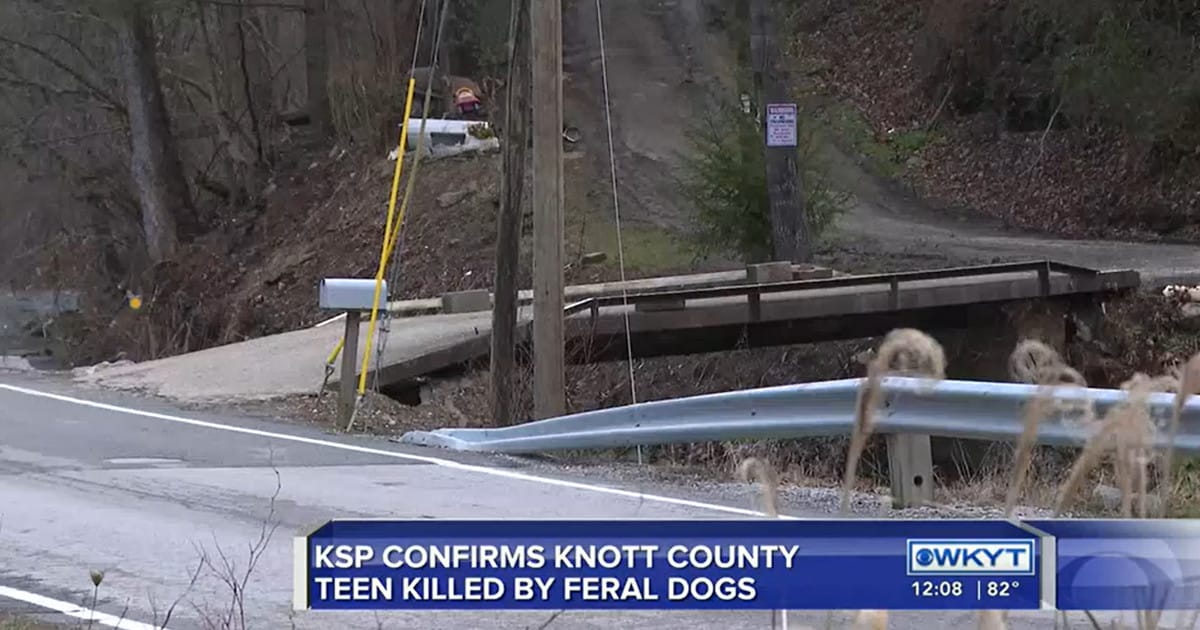 Dogman in Knott County: Unraveling a Mysterious Attack - ParaRational